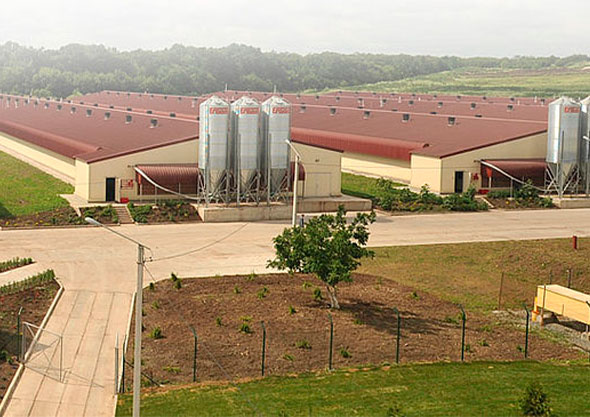 Avangardco – Gerz Construction Ukraine